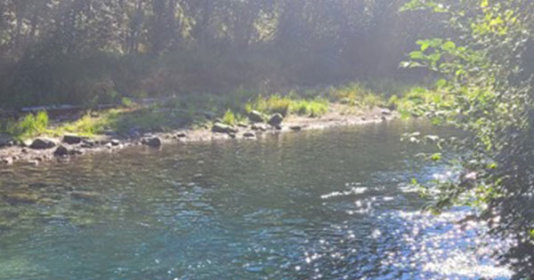 Order tickets for the SAVE OUR SALMON- WINTER RAFFLE 2022/23 | Raffle Nexus